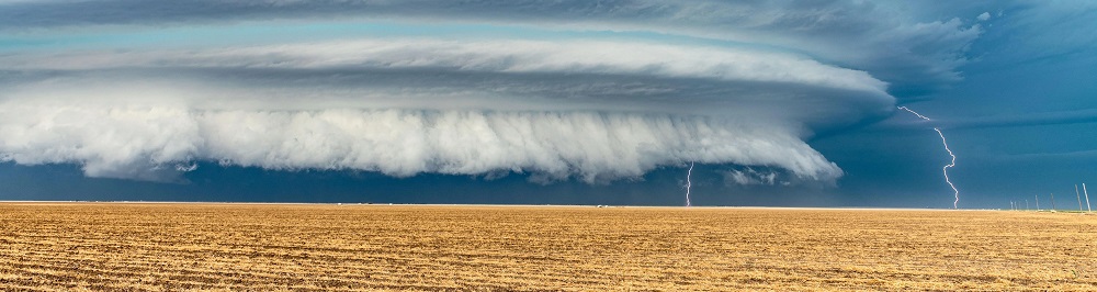 IPUT LMS-NAGOYA: 【2前】基礎・展開 | IPUT LMS-NAGOYA