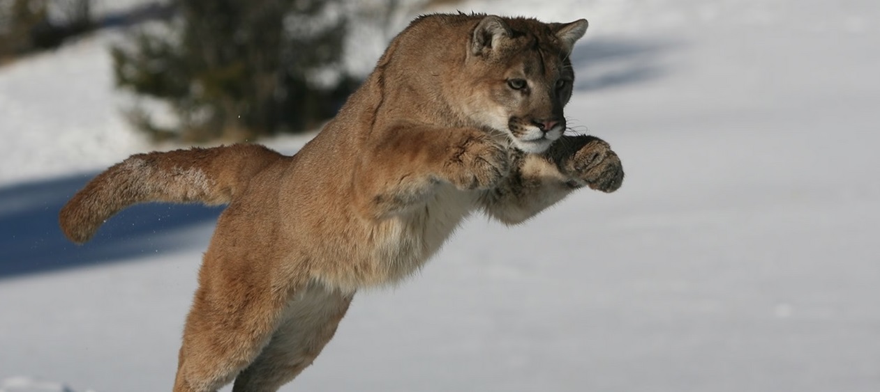 IPUT LMS-NAGOYA: 【1後】基礎・展開