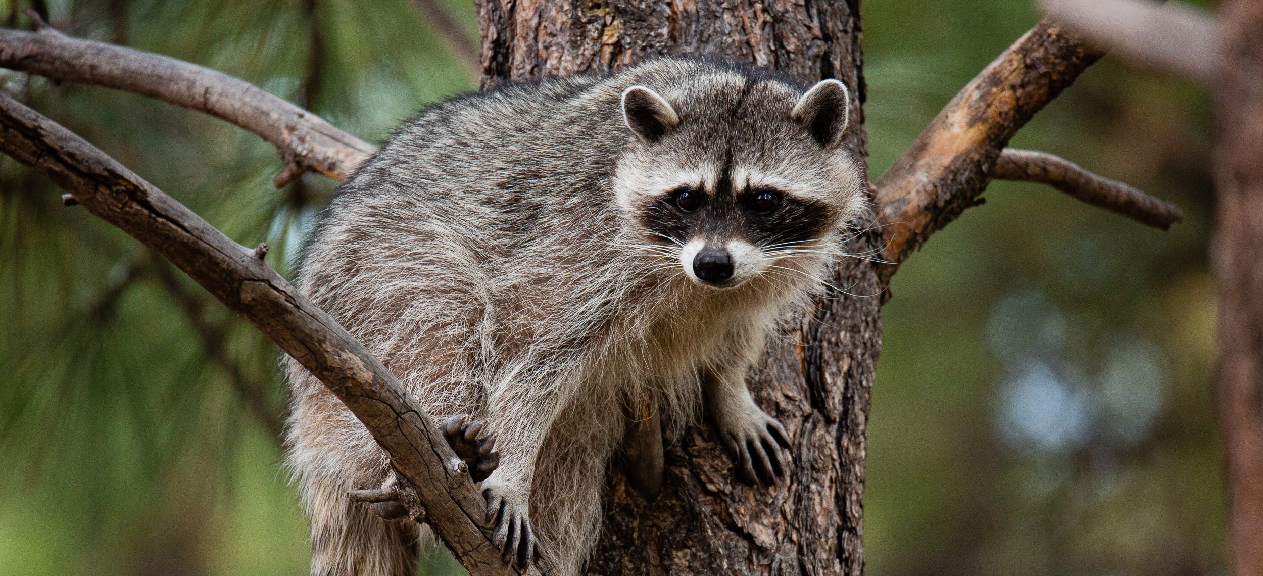 IPUT LMS-NAGOYA: 【3後】基礎・展開 | IPUT LMS-NAGOYA