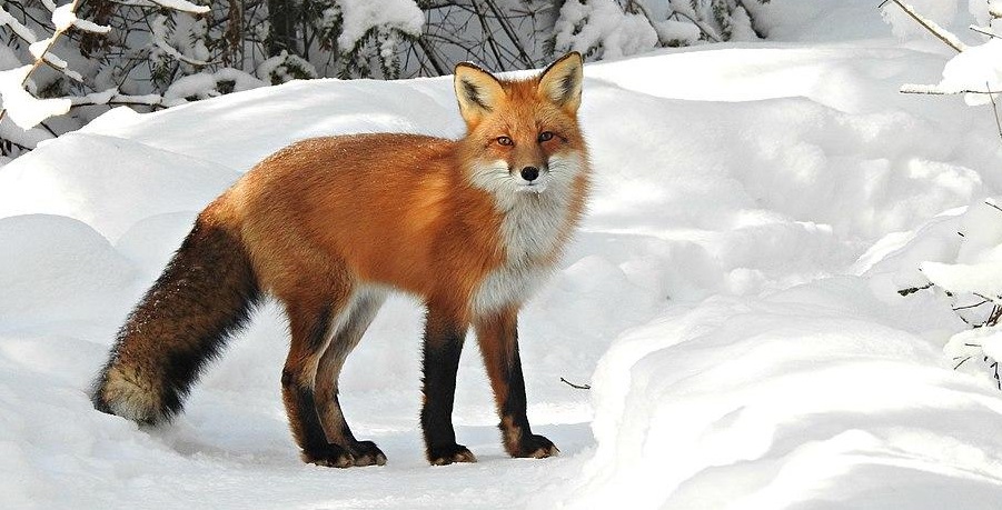 IPUT LMS-NAGOYA: 【2後】基礎・展開 | IPUT LMS-NAGOYA