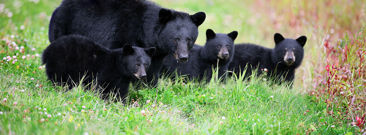 IPUT LMS-NAGOYA: 【2後】基礎・展開 | IPUT LMS-NAGOYA